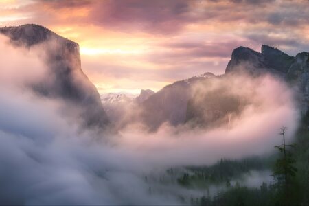 Scientists are unraveling the mysteries of fog formation • Earth.com