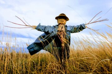 "Laser" scarecrows could revolutionize crop protection • Earth.com