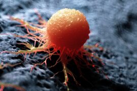 Breakthrough therapy controls "chaotic" cancer-fueling protein MYC ...