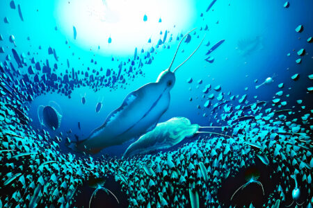 Predatory worms known as "terror beasts" roamed the ancient seas ...