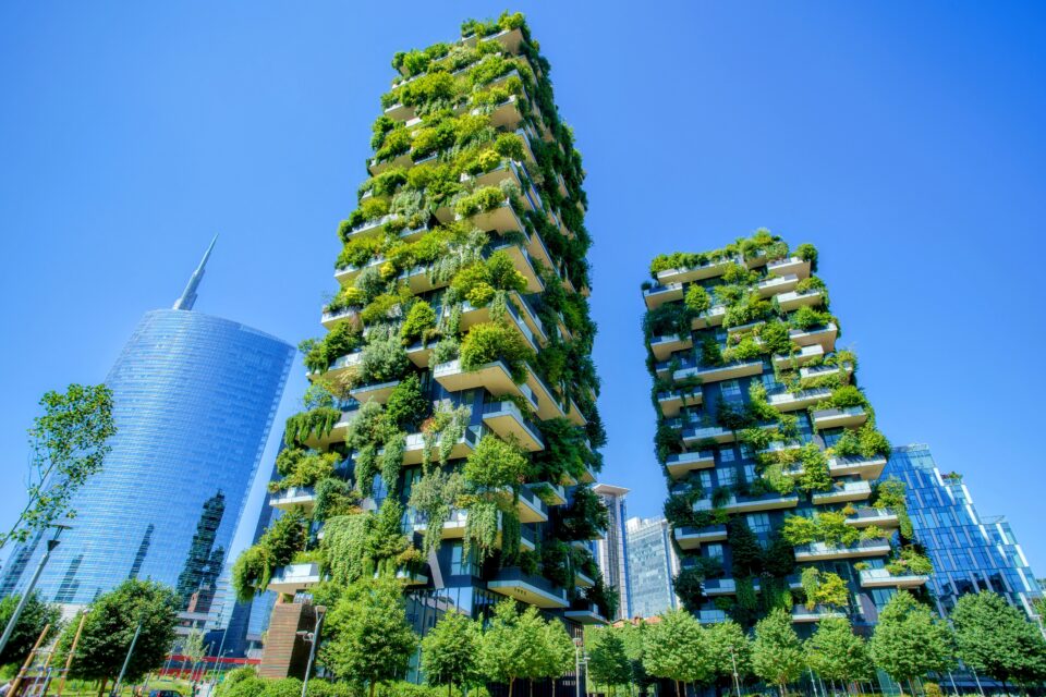 Tackling urban heat: Experts plan to cool a desert city by 4.5°C ...