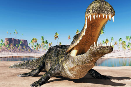 "Fossilized skin" from unknown creature is 286 million years old ...