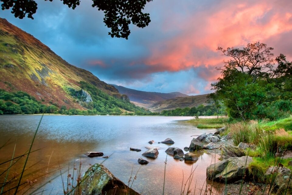 Fossils capture a turning point in the evolution of life • Earth.com