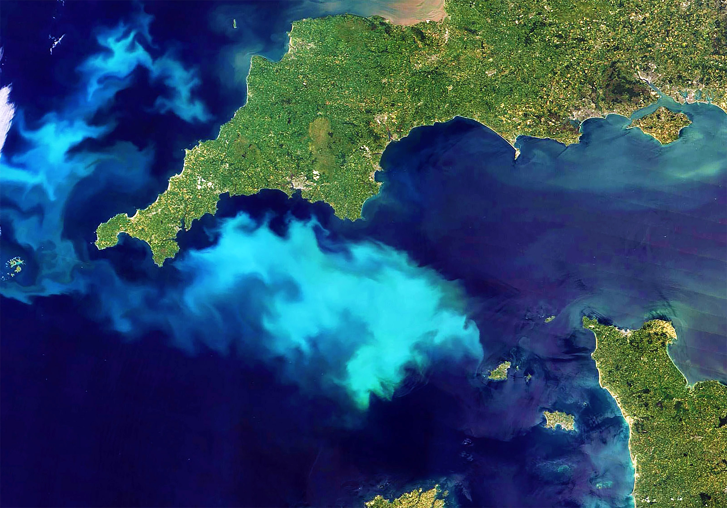 Oceans are quickly losing their ability to support fish populations ...