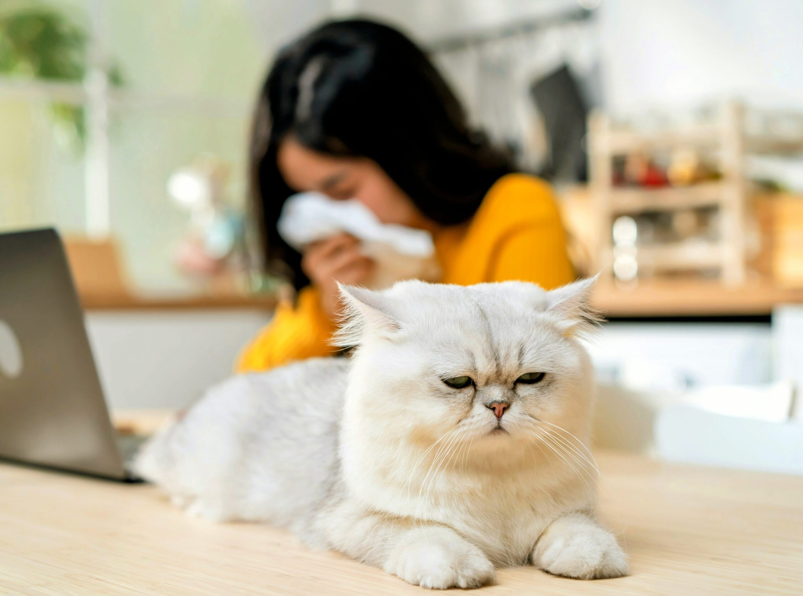 Humans are getting their pets sick, and it's called reverse zoonoses ...