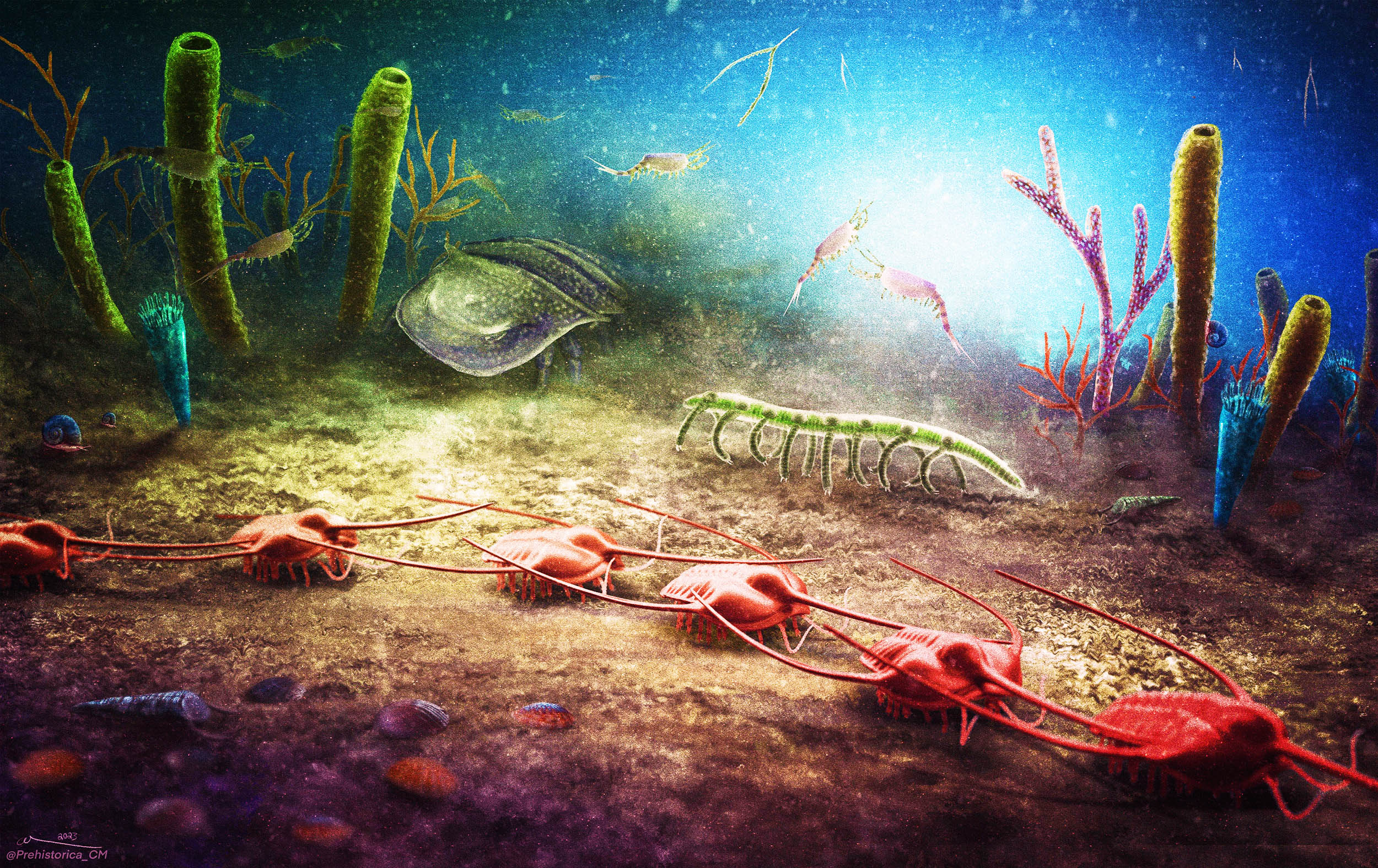 470 million-year-old animals discovered in France - Earth.com
