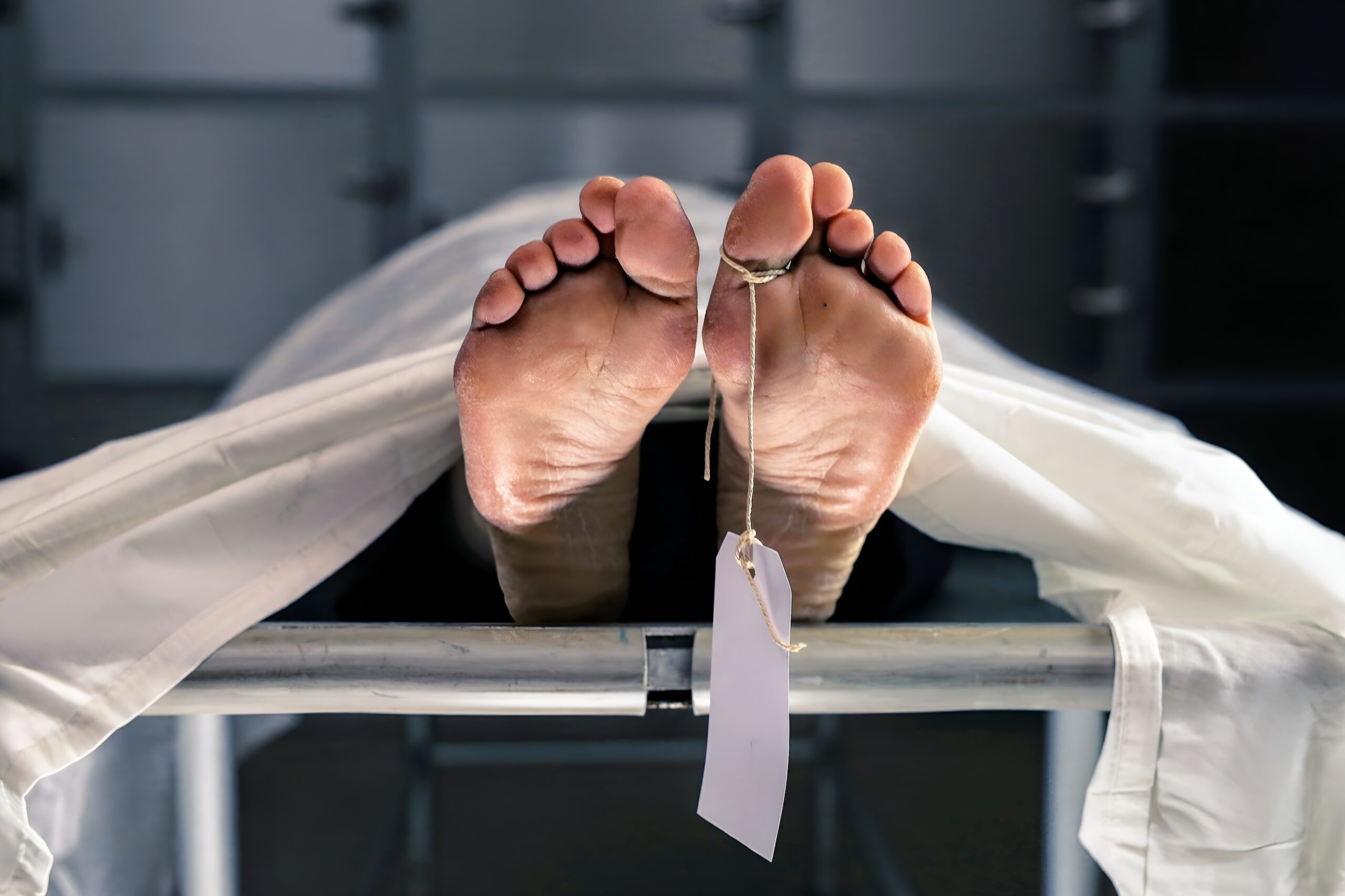 Microbes involved in human decomposition may help solve crimes - Earth.com