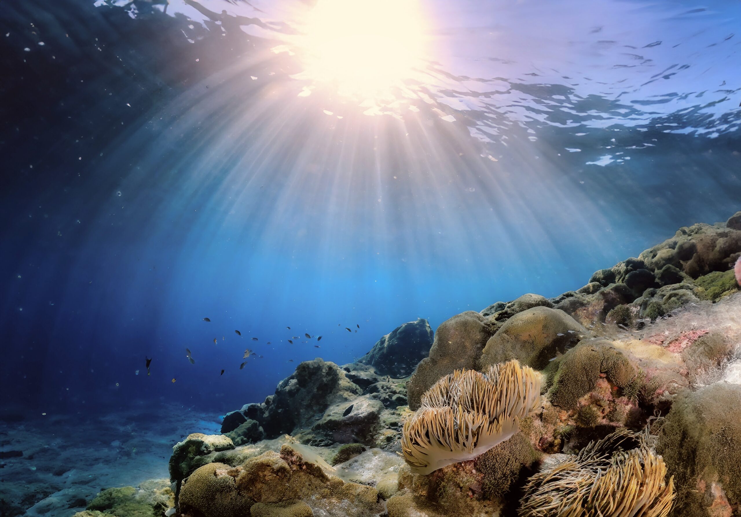 'History book' of the ocean reveals future impacts of warming - Earth.com