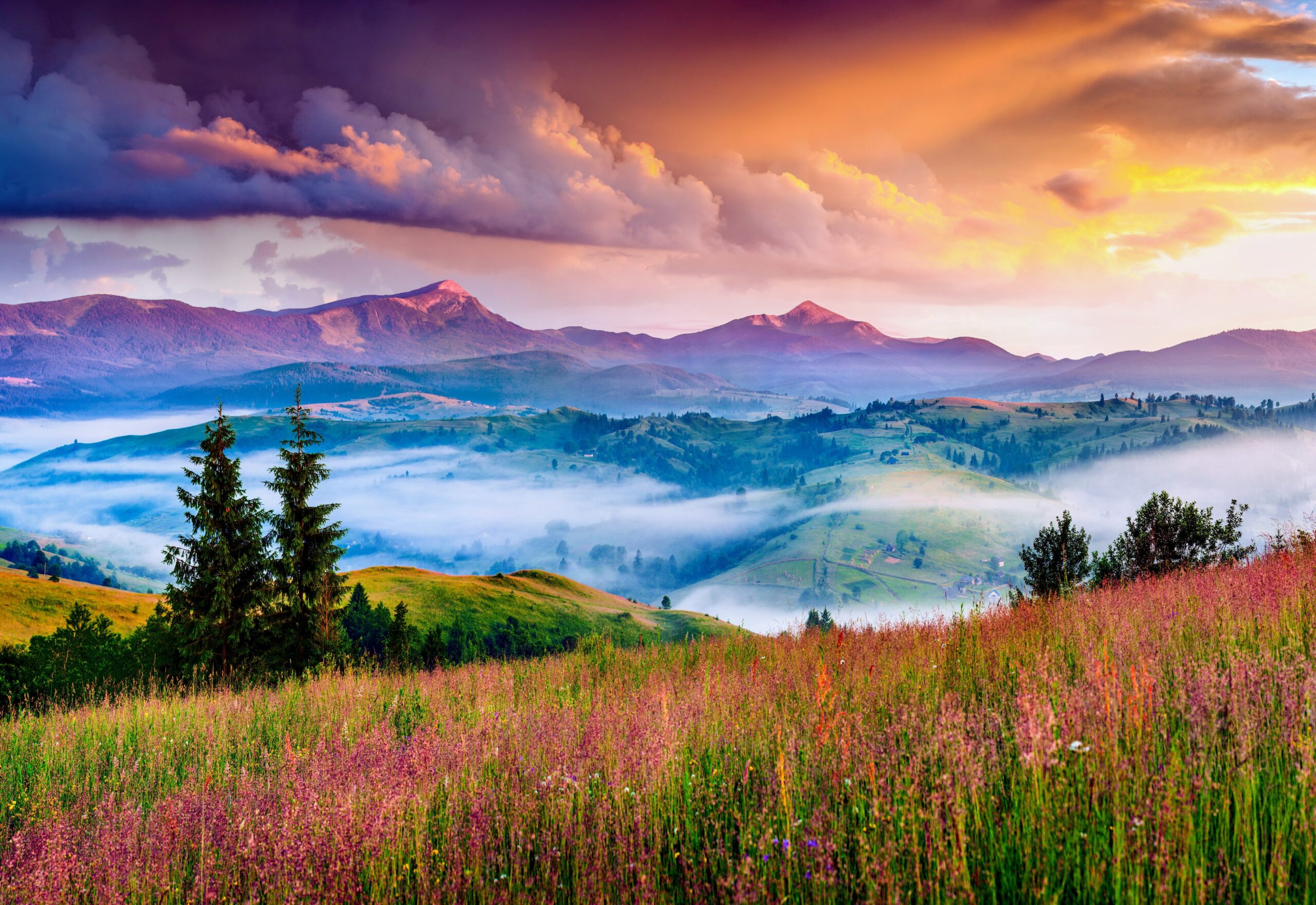 Earth's great balancing act: Nature is adapting to human influence ...