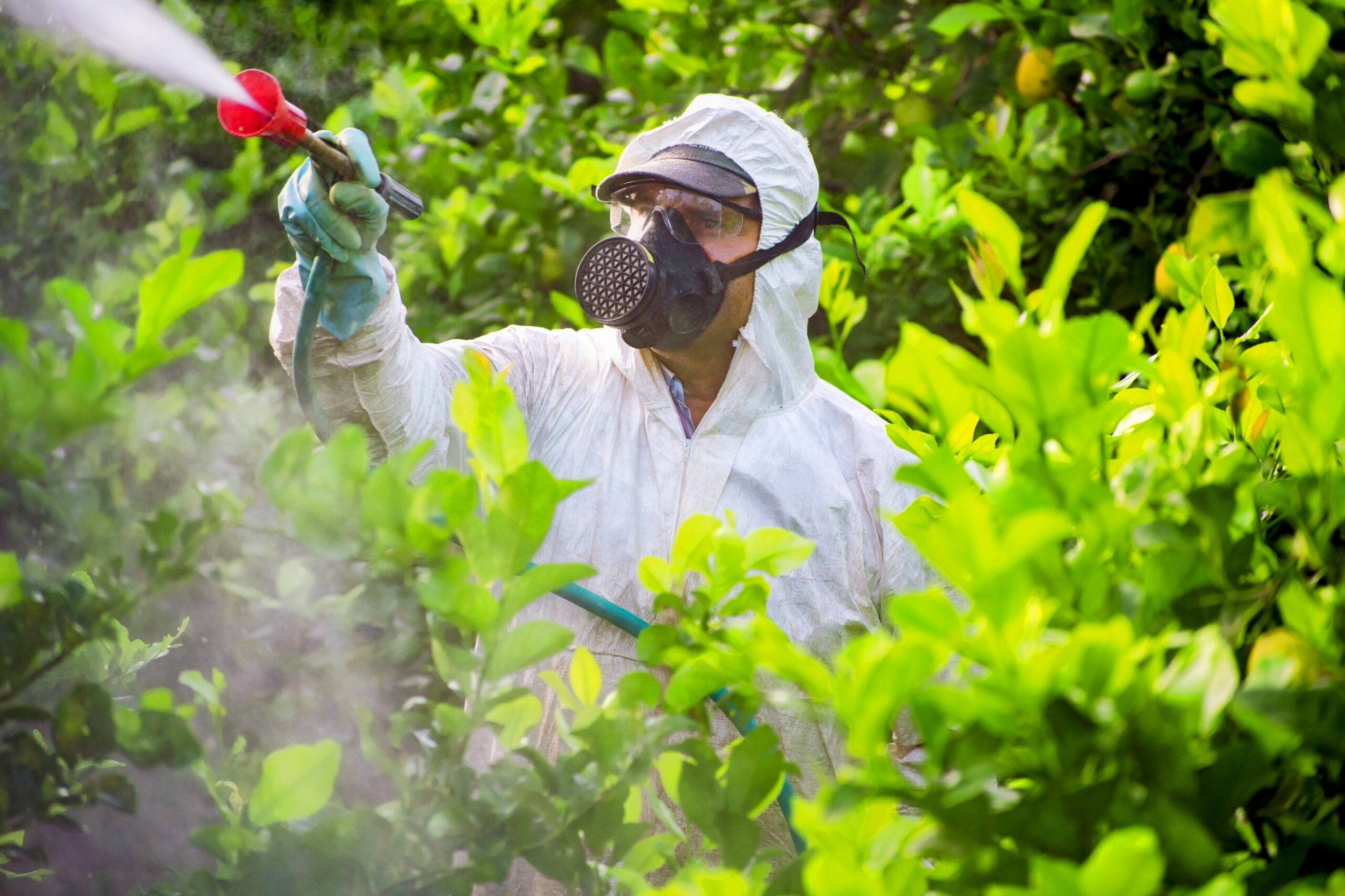 Pesticide exposure increases the risk of Parkinson’s disease - Earth.com