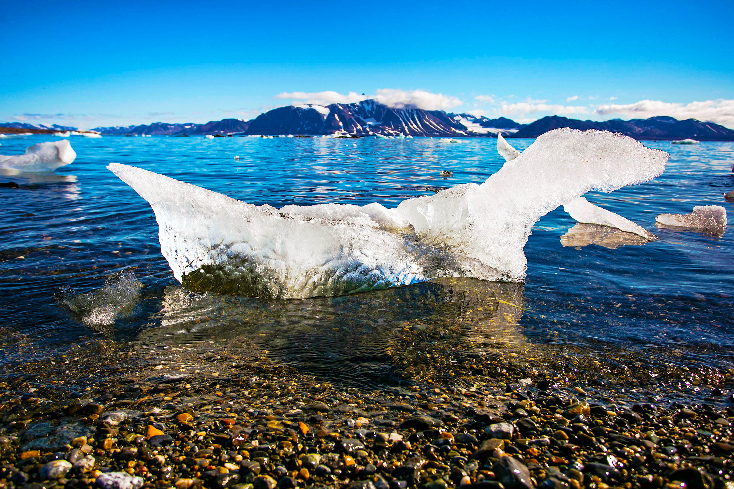 The Arctic will be ice-free in only a few more years - Earth.com