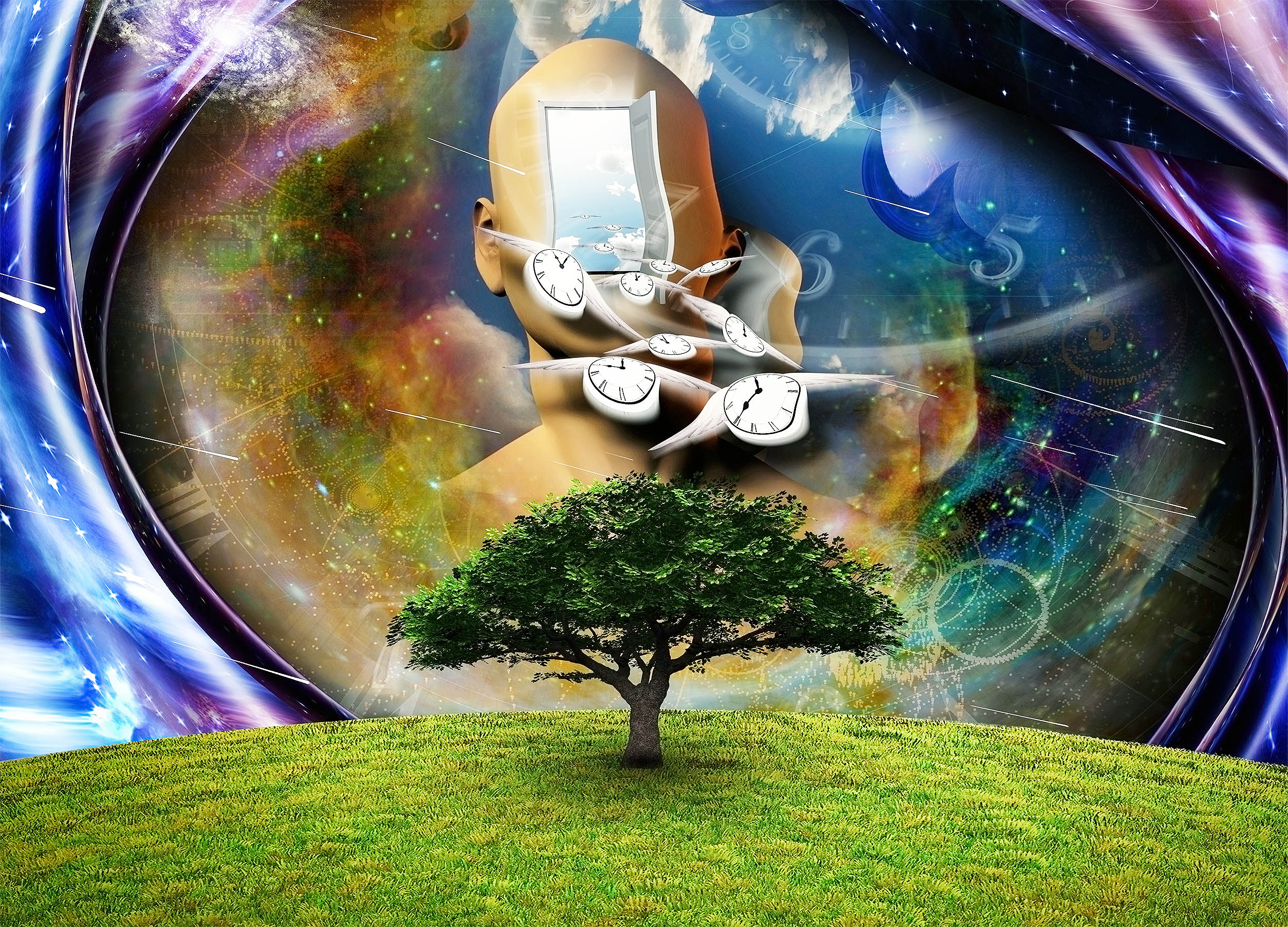 Being in nature changes our overall perception of time - Earth.com