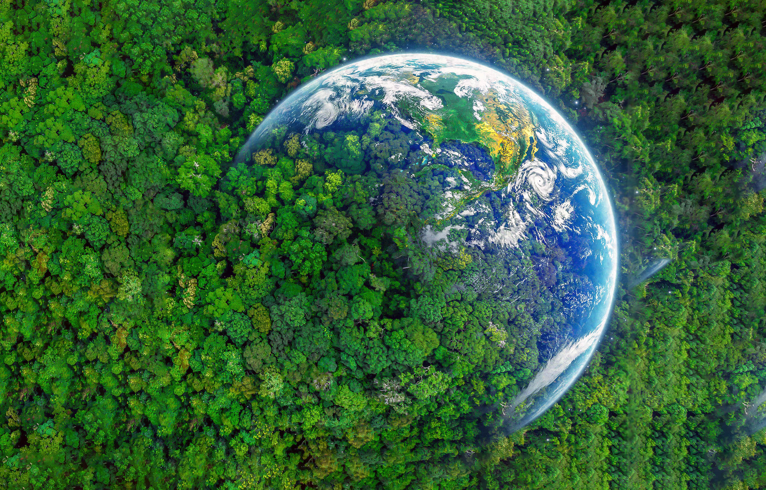 Placing a monetary value on nature conservation and ecosystems - Earth.com