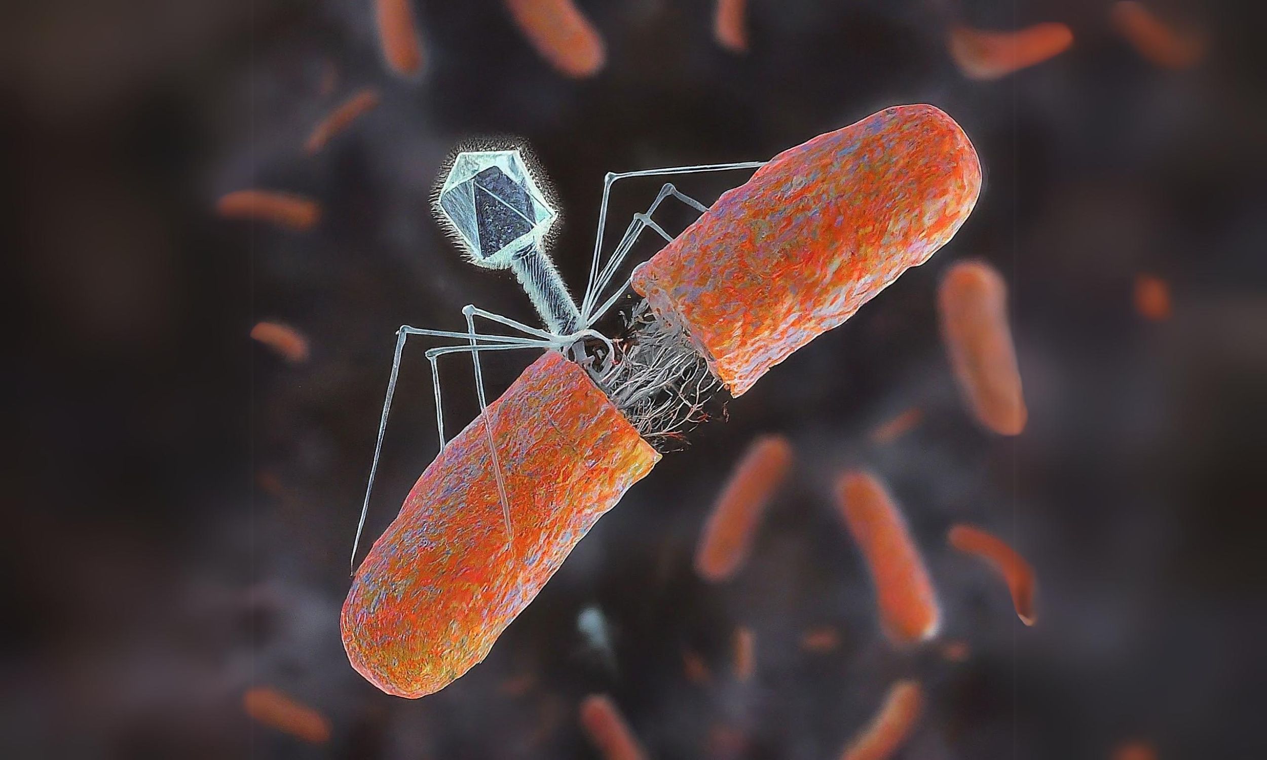 Viruses can either help or harm their hosts' immune systems - Earth.com