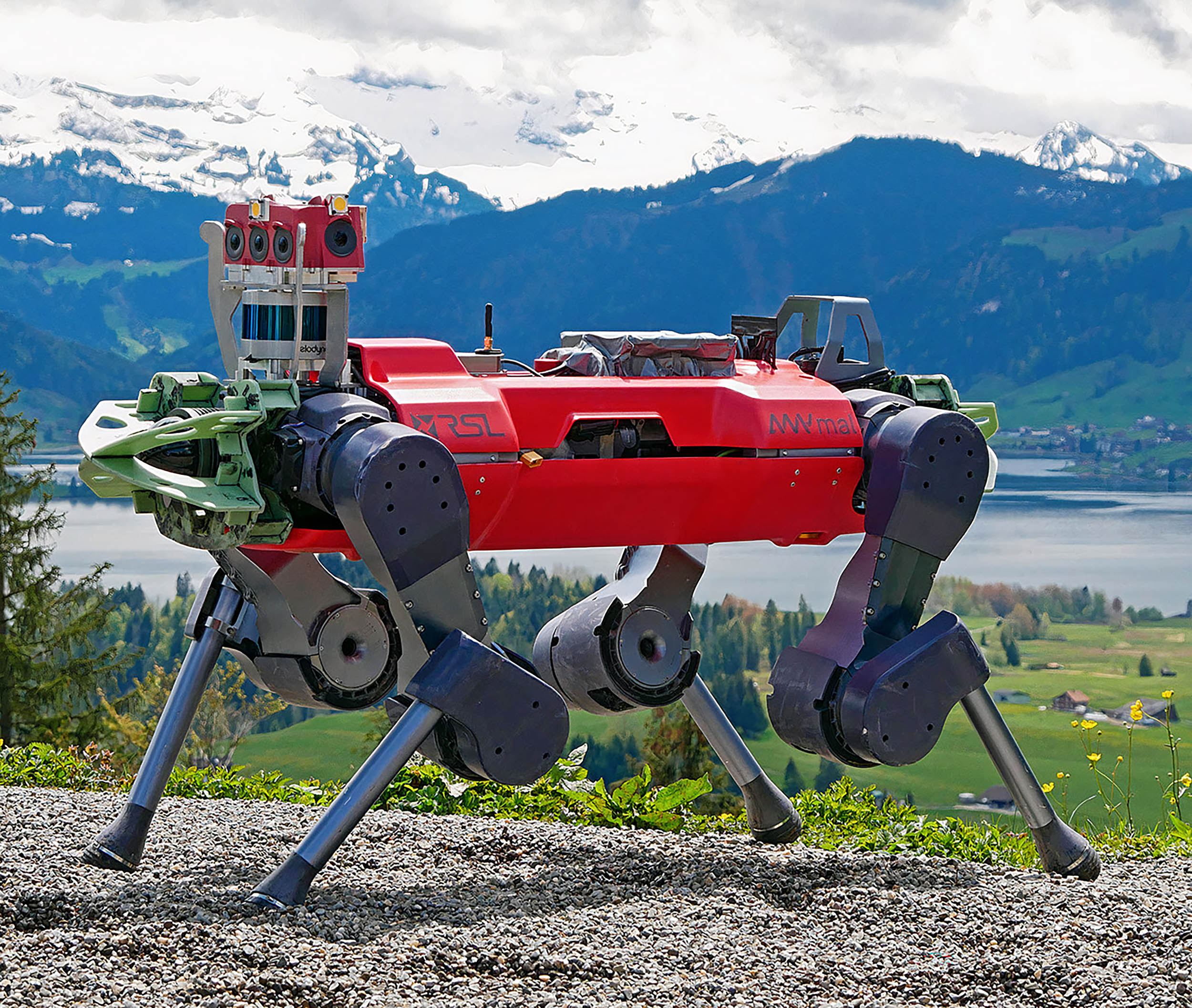 ANYmal: The quadrupedal robot that has mastered parkour - Earth.com