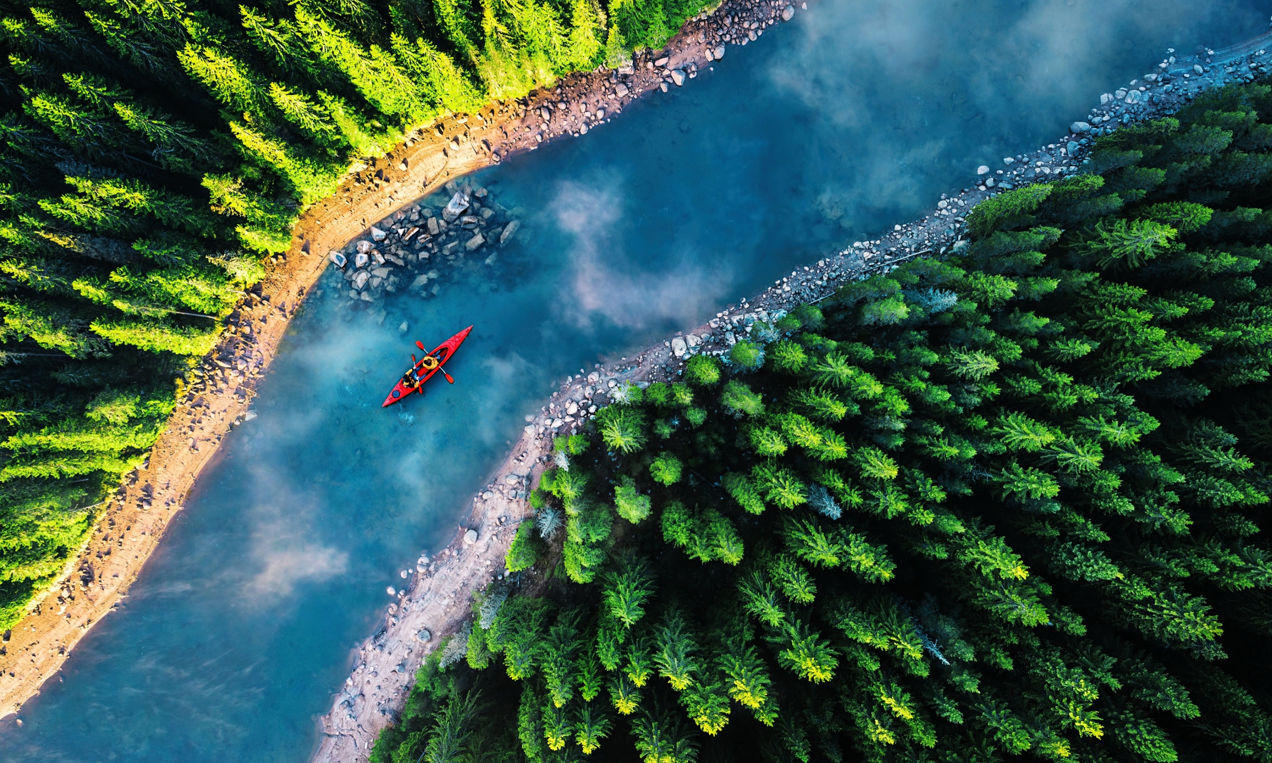 Nature's ecosystems constantly share energy to achieve balance - Earth.com