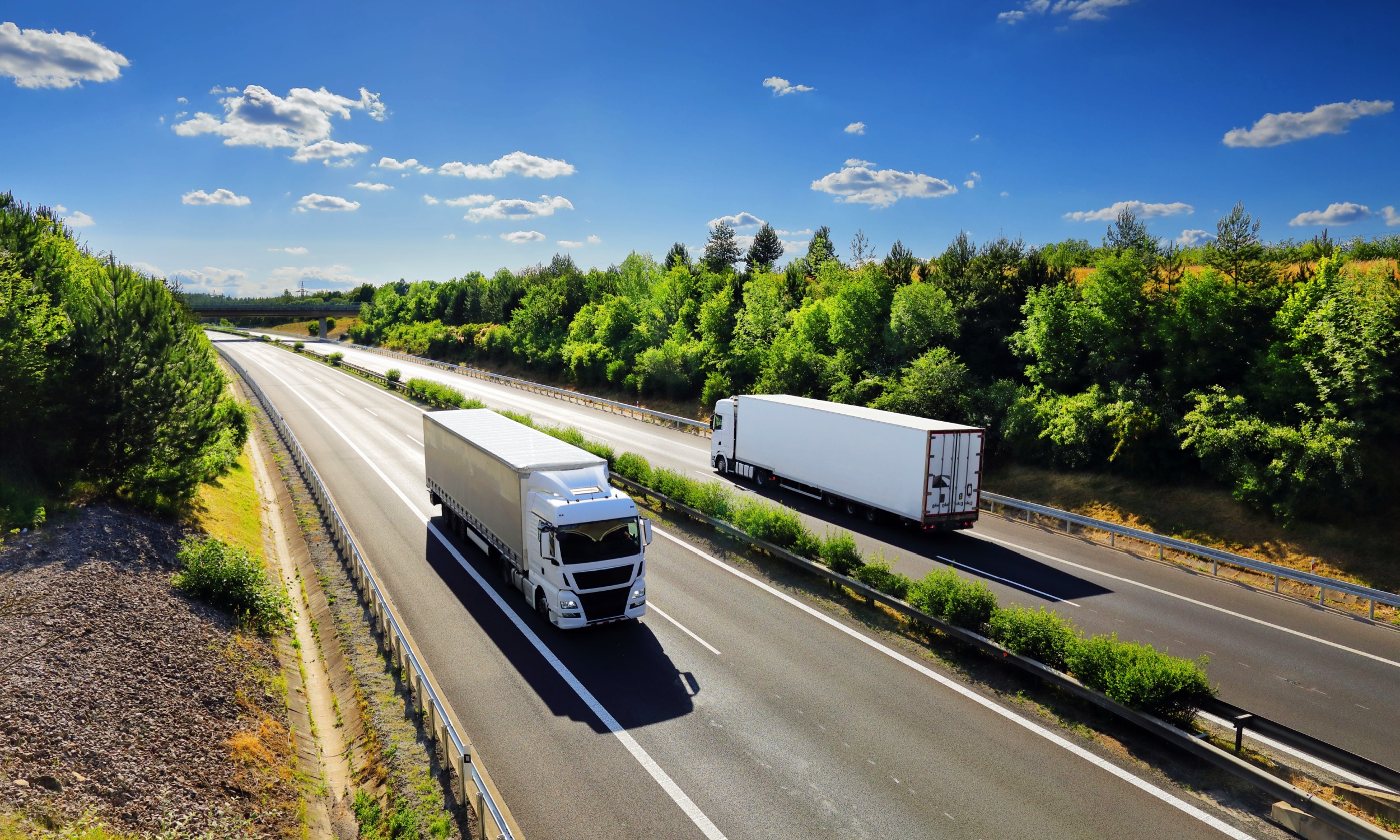 Trees and bushes near highways improve air quality - Earth.com