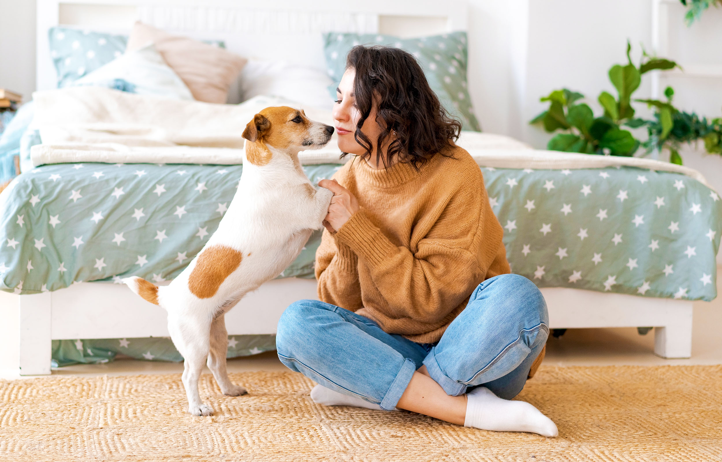 Dogs can detect humans' stress levels by smelling their breath - Earth.com