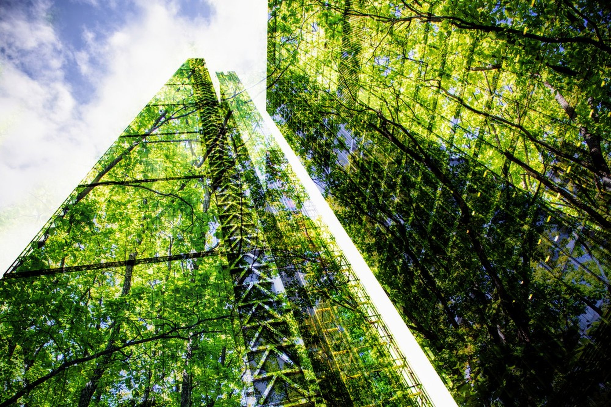 Nature-based climate solutions are now more critical than ever - Earth.com