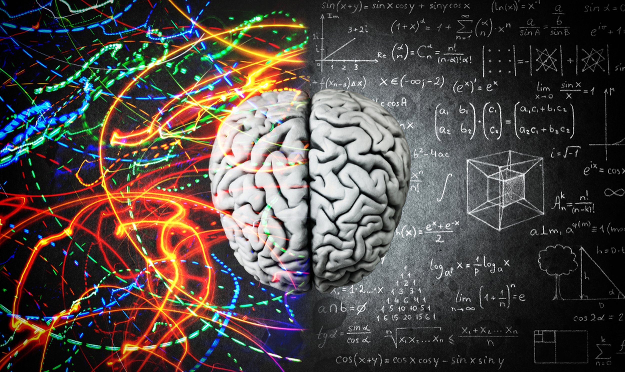 "Zombie neurons" play a major role in the learning process - Earth.com