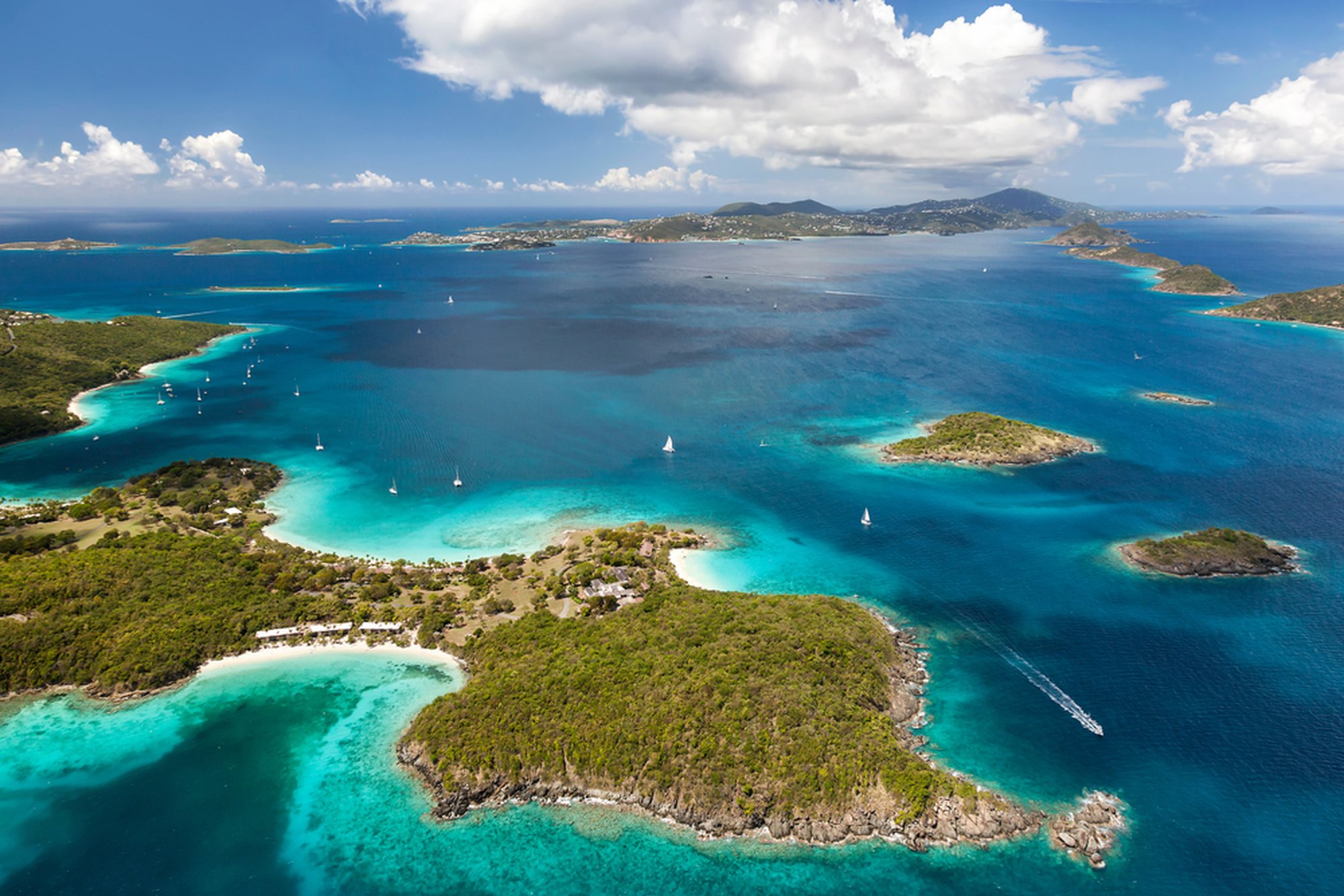 Microbes reveal the health of coral reefs in real time - Earth.com