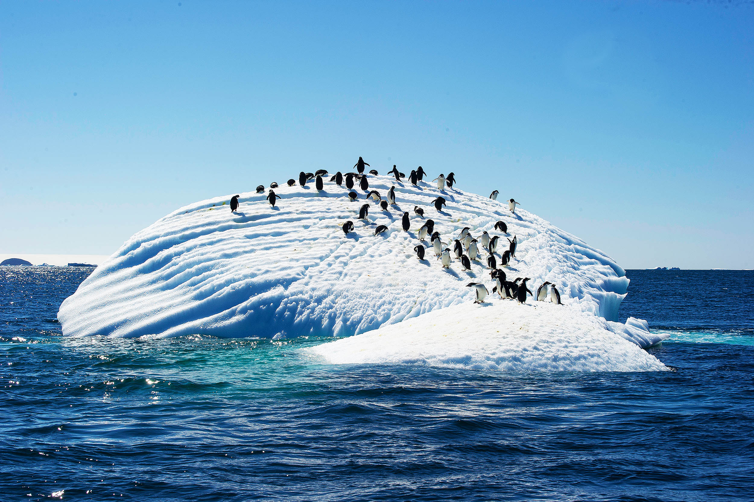 Microplastics pollution in Antarctica is much worse than imagined ...