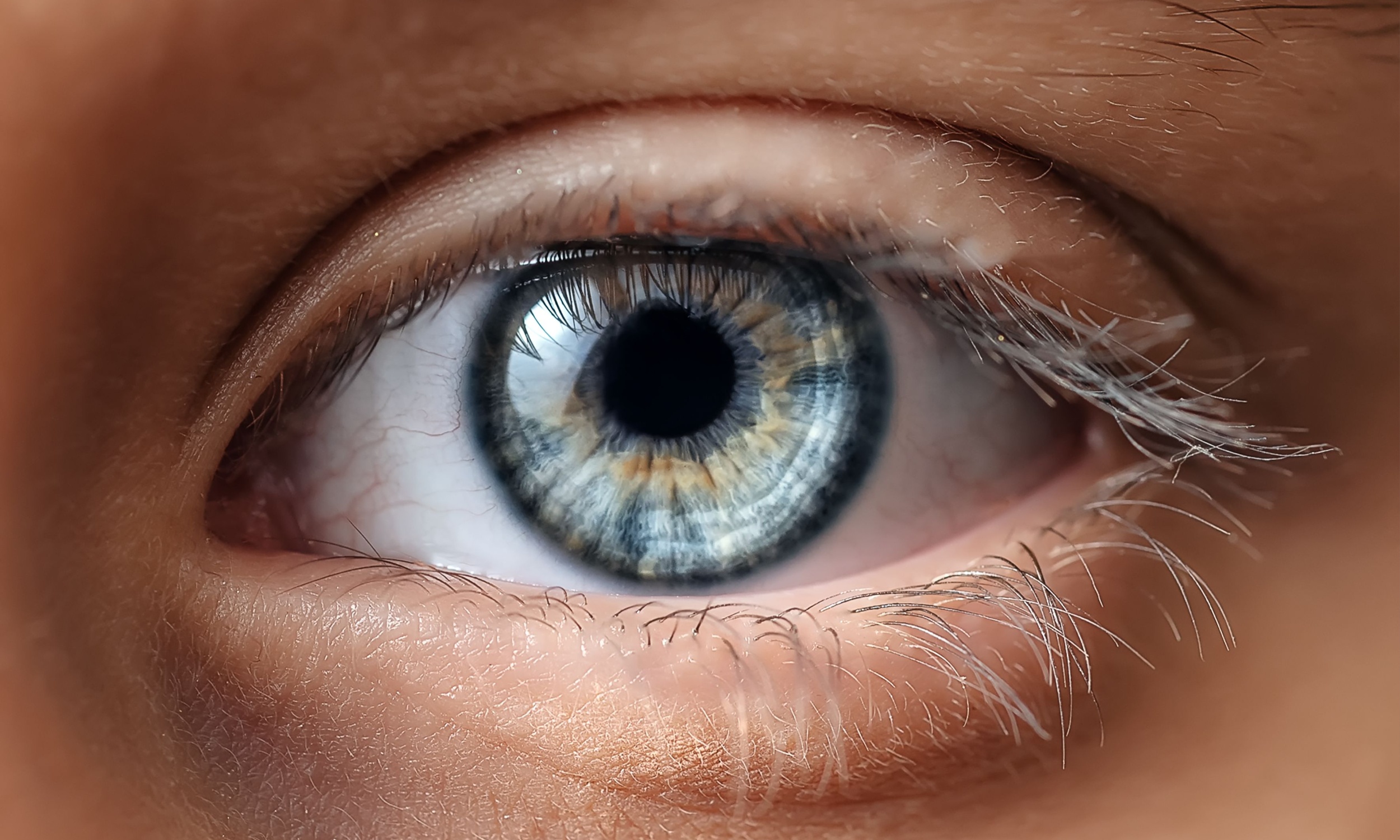 Rare retinal cells explain complex color perception - Earth.com