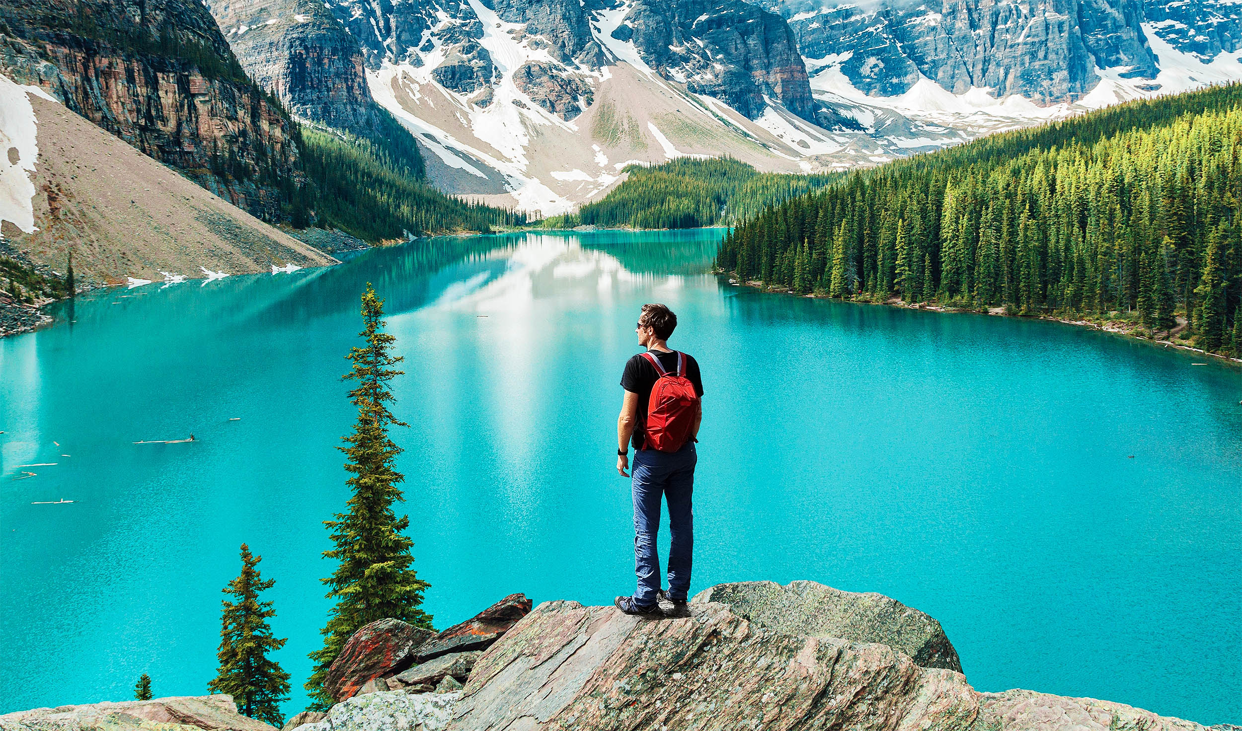 Areas with natural biodiversity have greater mental health impact ...