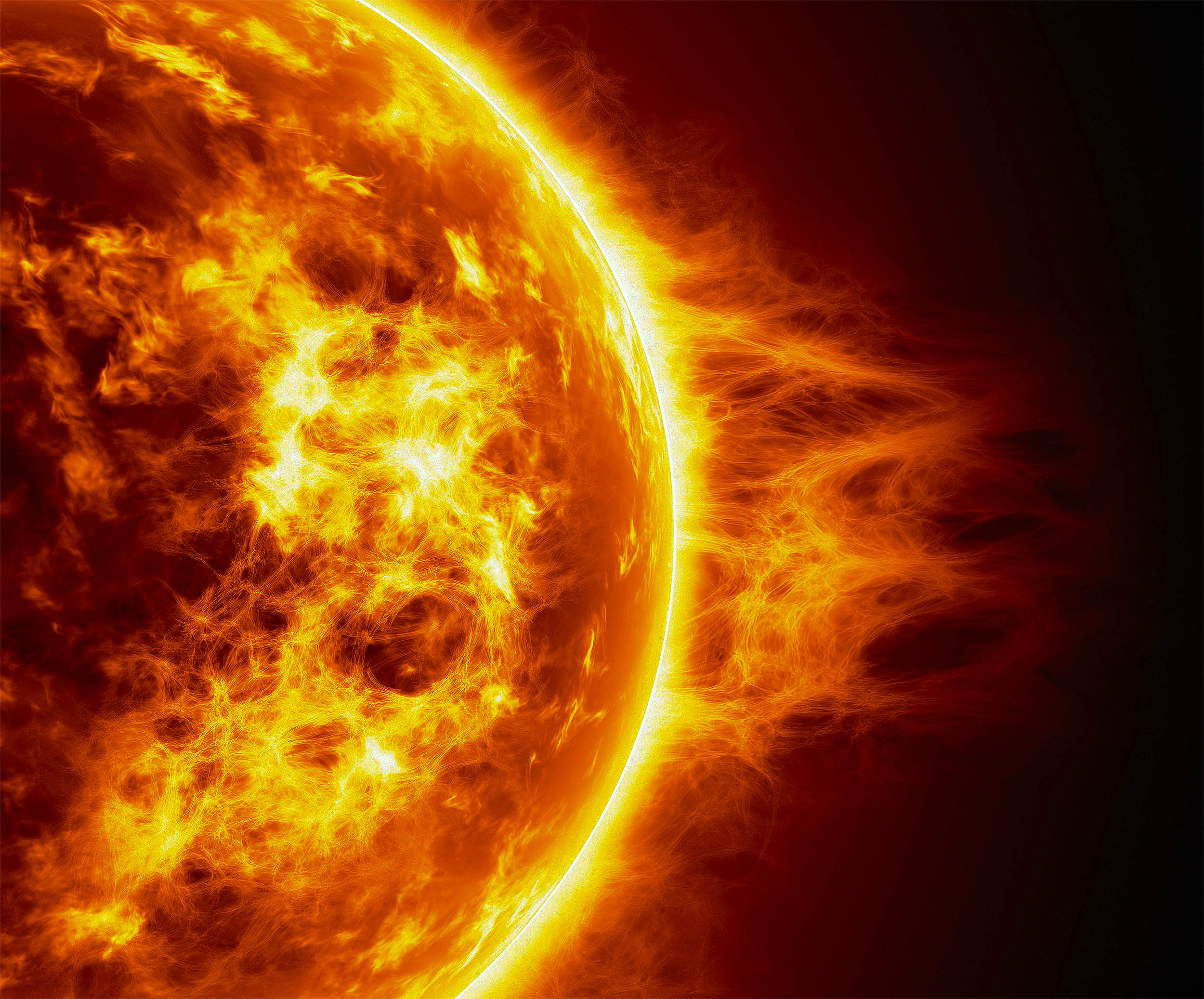 The Sun is covered with moss, though not the kind you’re thinking ...