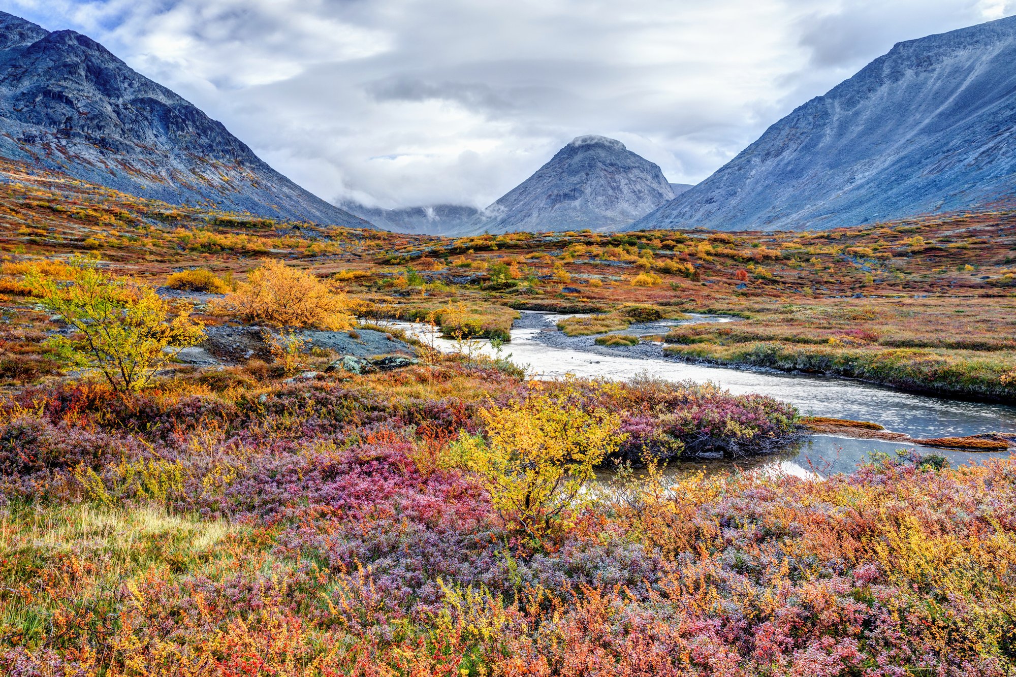 Warming climate turns tundra from carbon sink to source - Earth.com