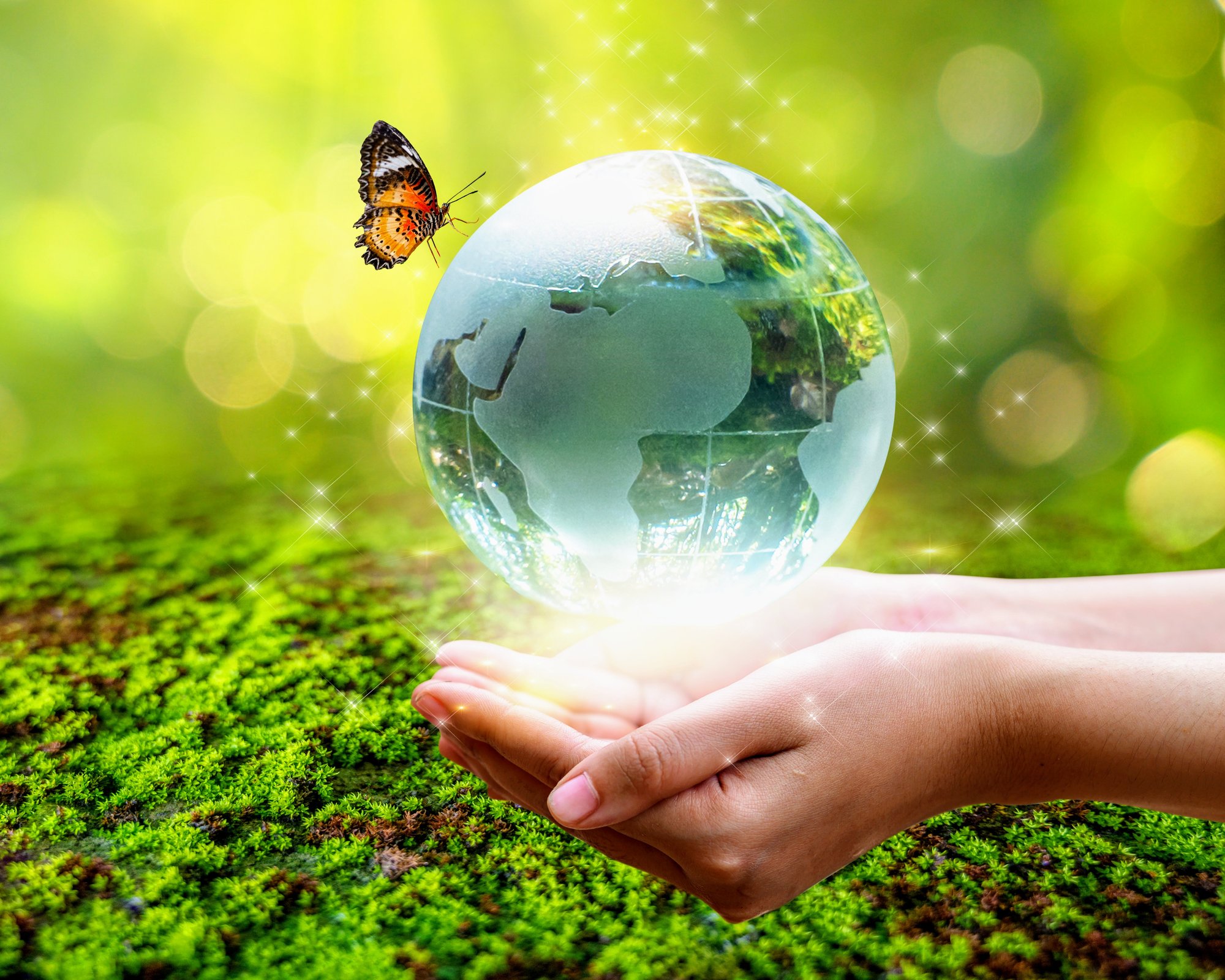 Effective conservation efforts are key to saving biodiversity - Earth.com