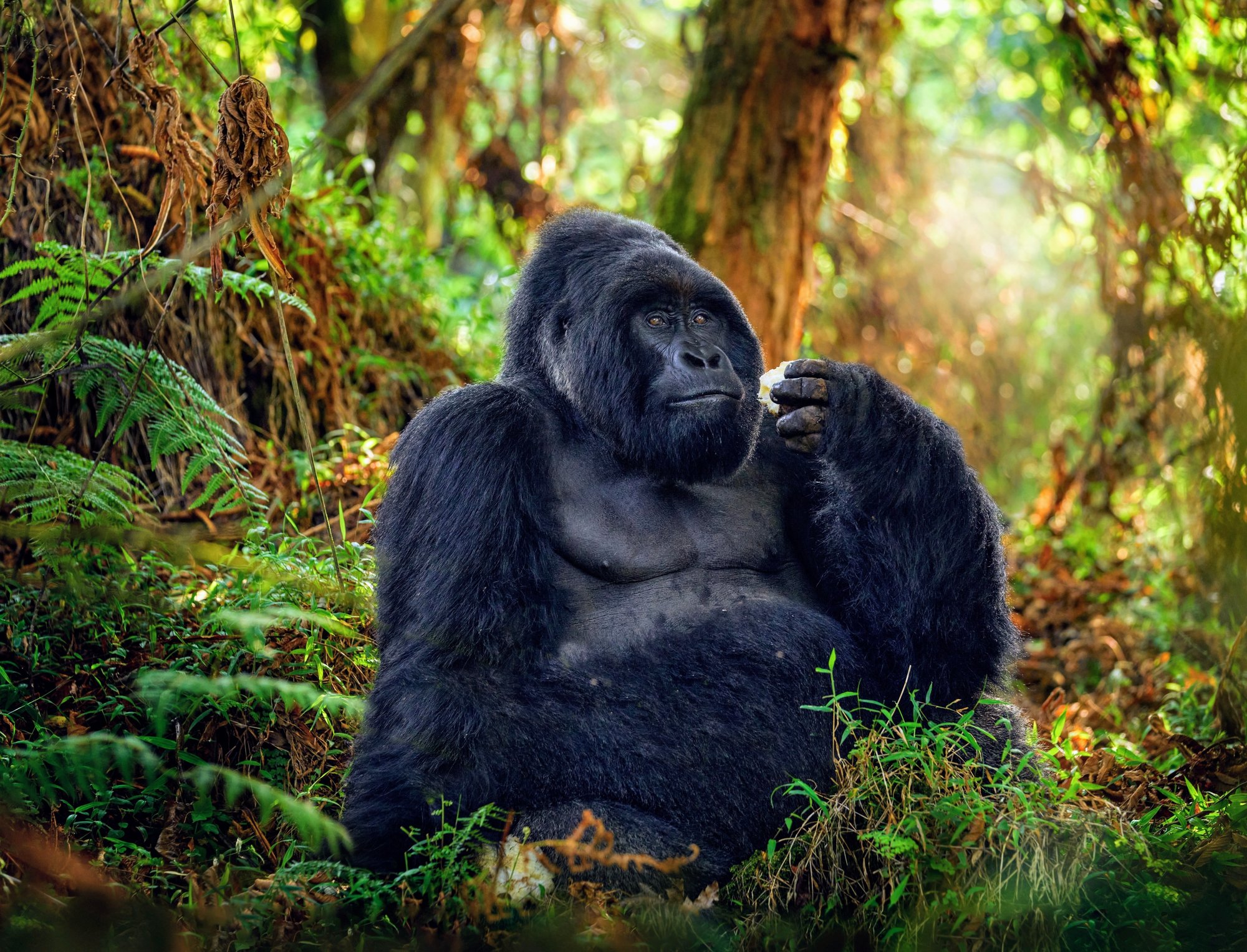 Chemists could be key to prevent animal extinction - Earth.com