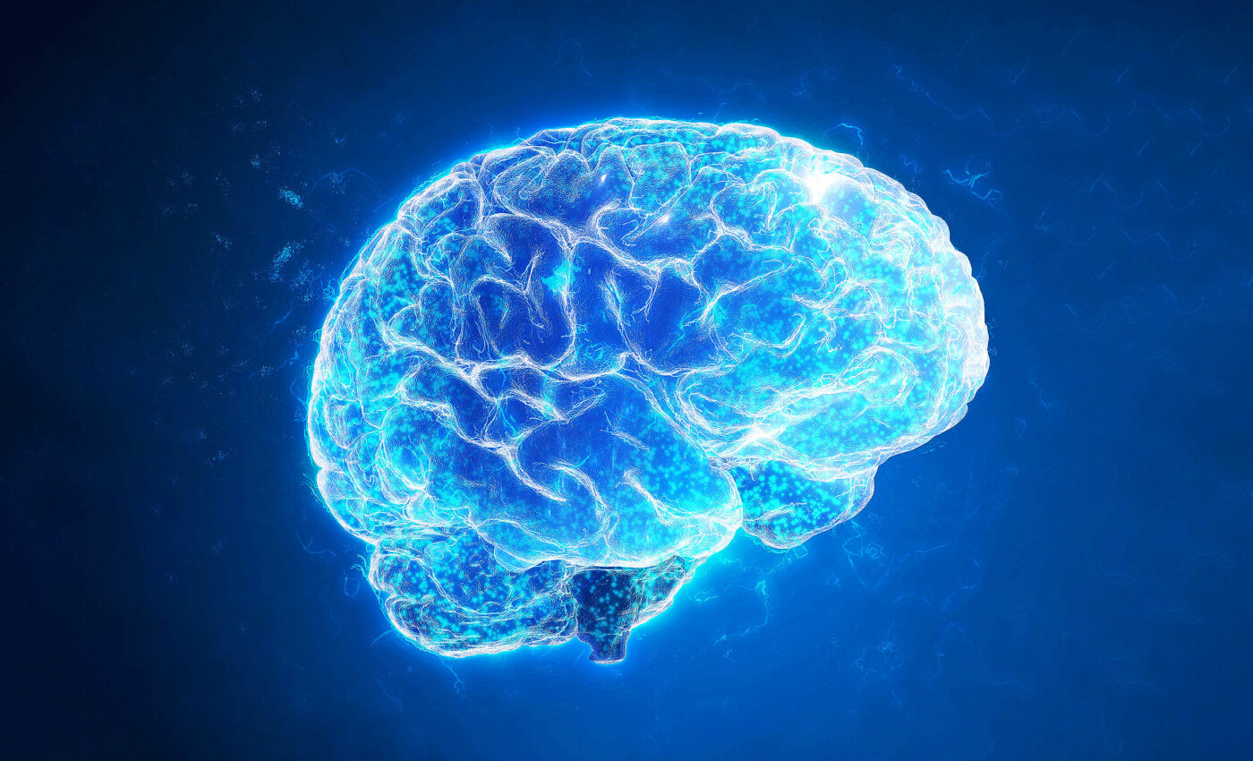 Crucible Map The Brain