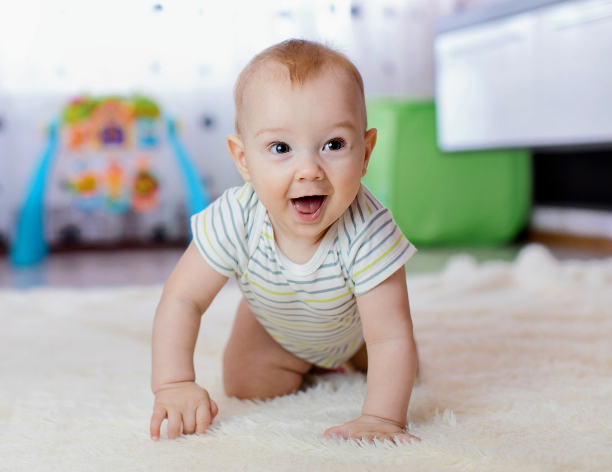 Visual 'diets' of infants provide the building blocks of human vision ...