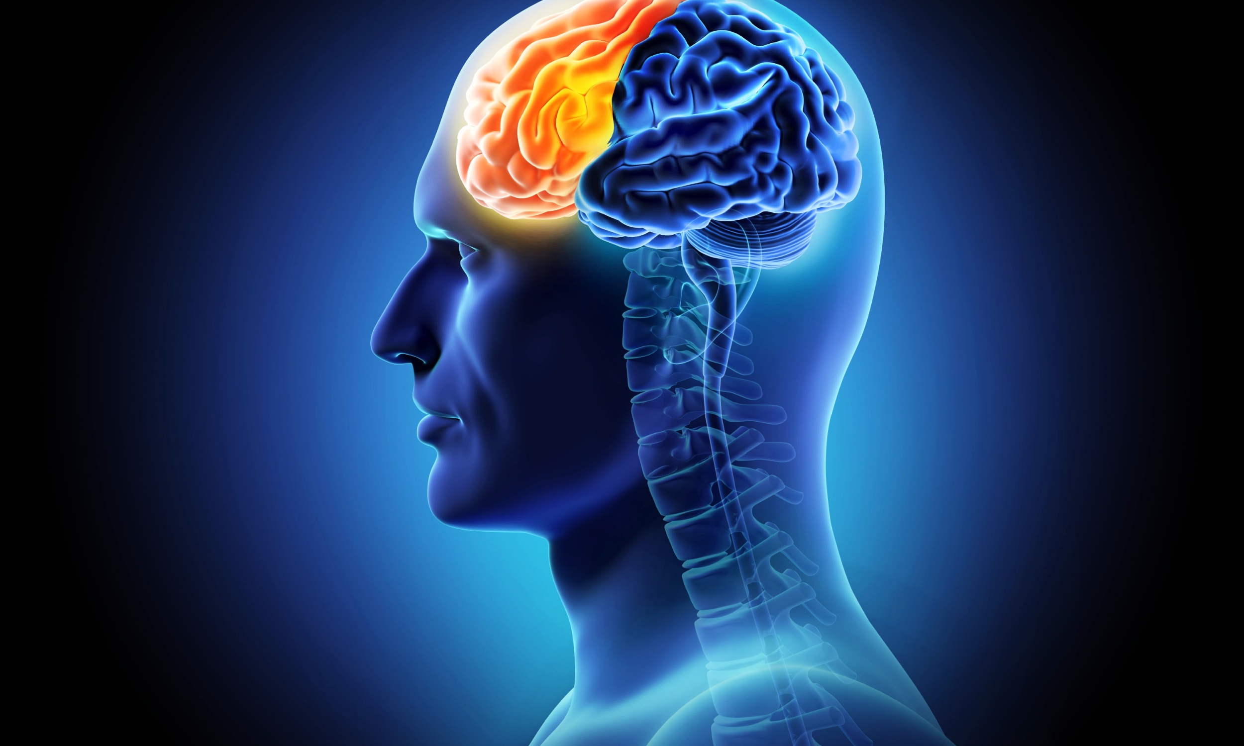Some brain cells age faster and are more common in Alzheimer's - Earth.com