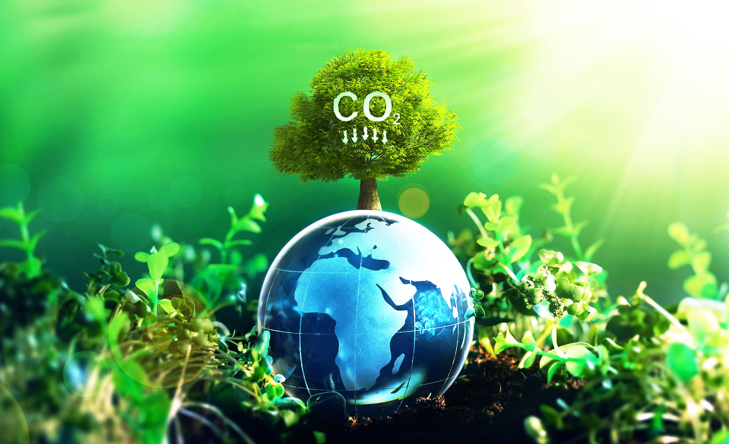 CO2 increase is 10x faster today than in the past 50,000 years - Earth.com