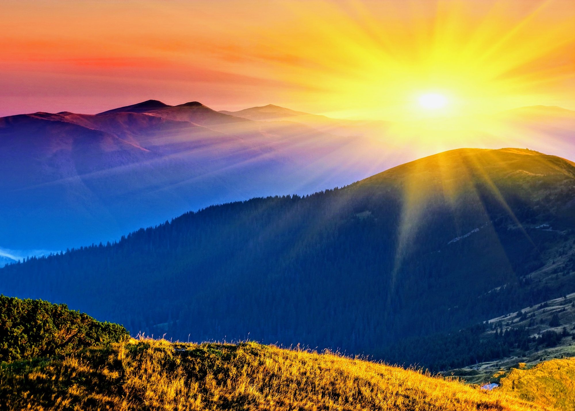 Billions of people endured an extra month of extreme heat - Earth.com