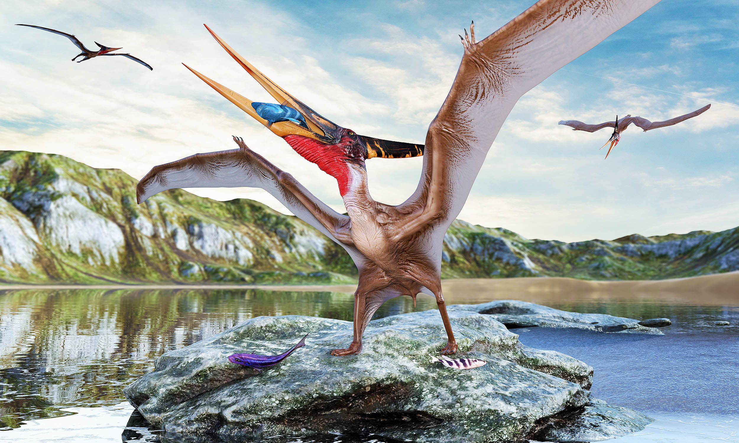 New Pterosaur species named "Abfab" had wings as wide as a car - Earth.com