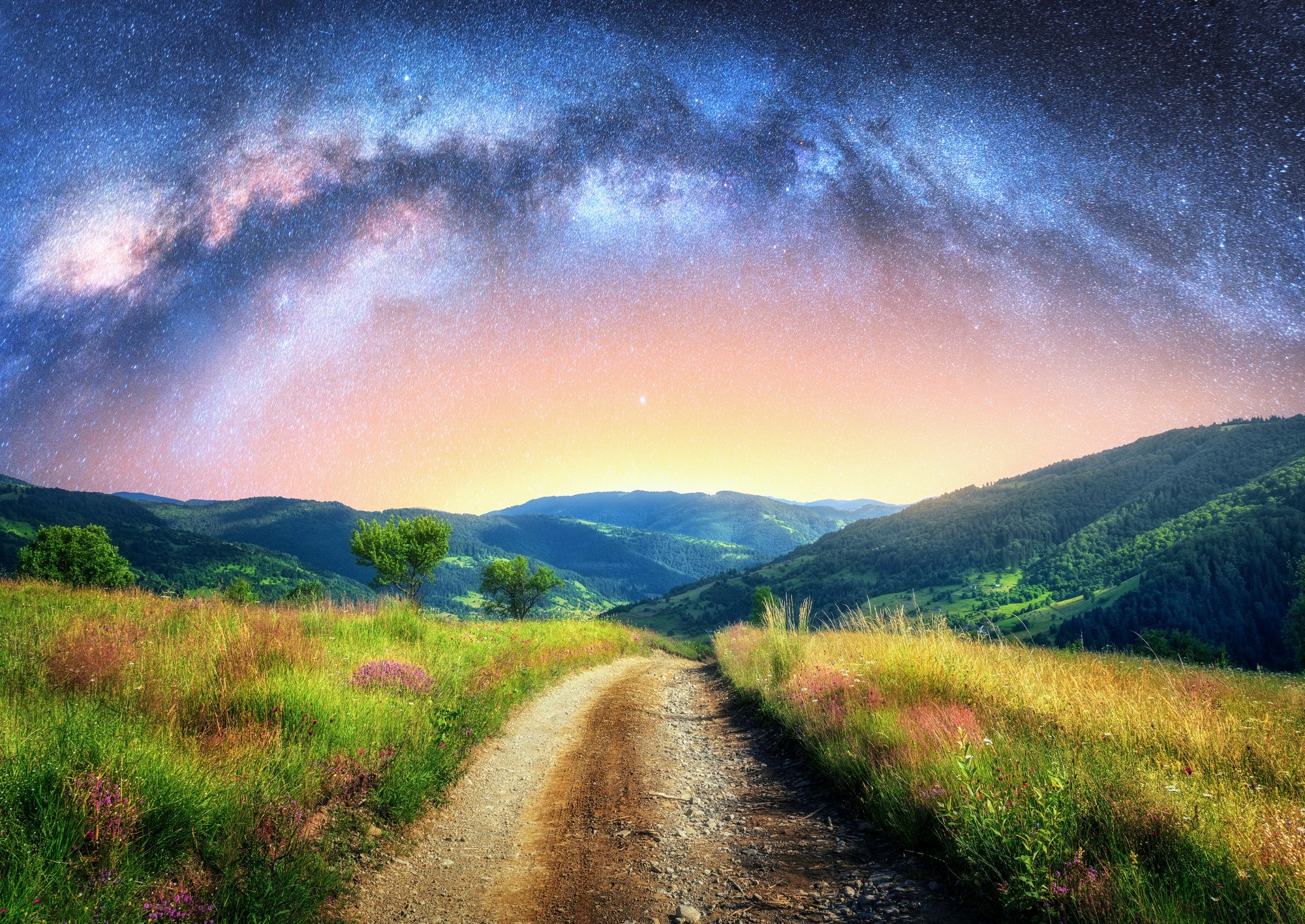 Mental maps help the brain remember places and paths - Earth.com