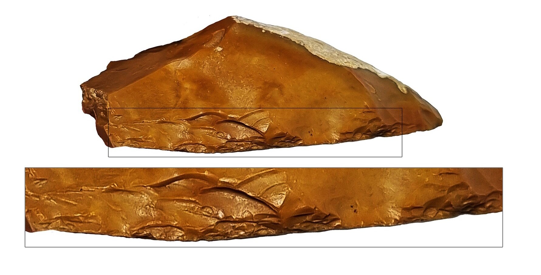 400,000-year-old stone tools show technological adaptations - Earth.com