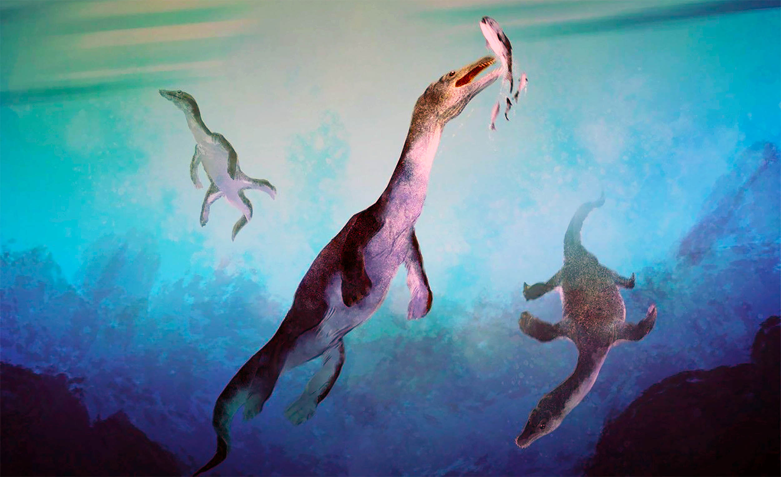 Polar sea reptile 'nothosaur' fossil is the oldest ever discovered ...