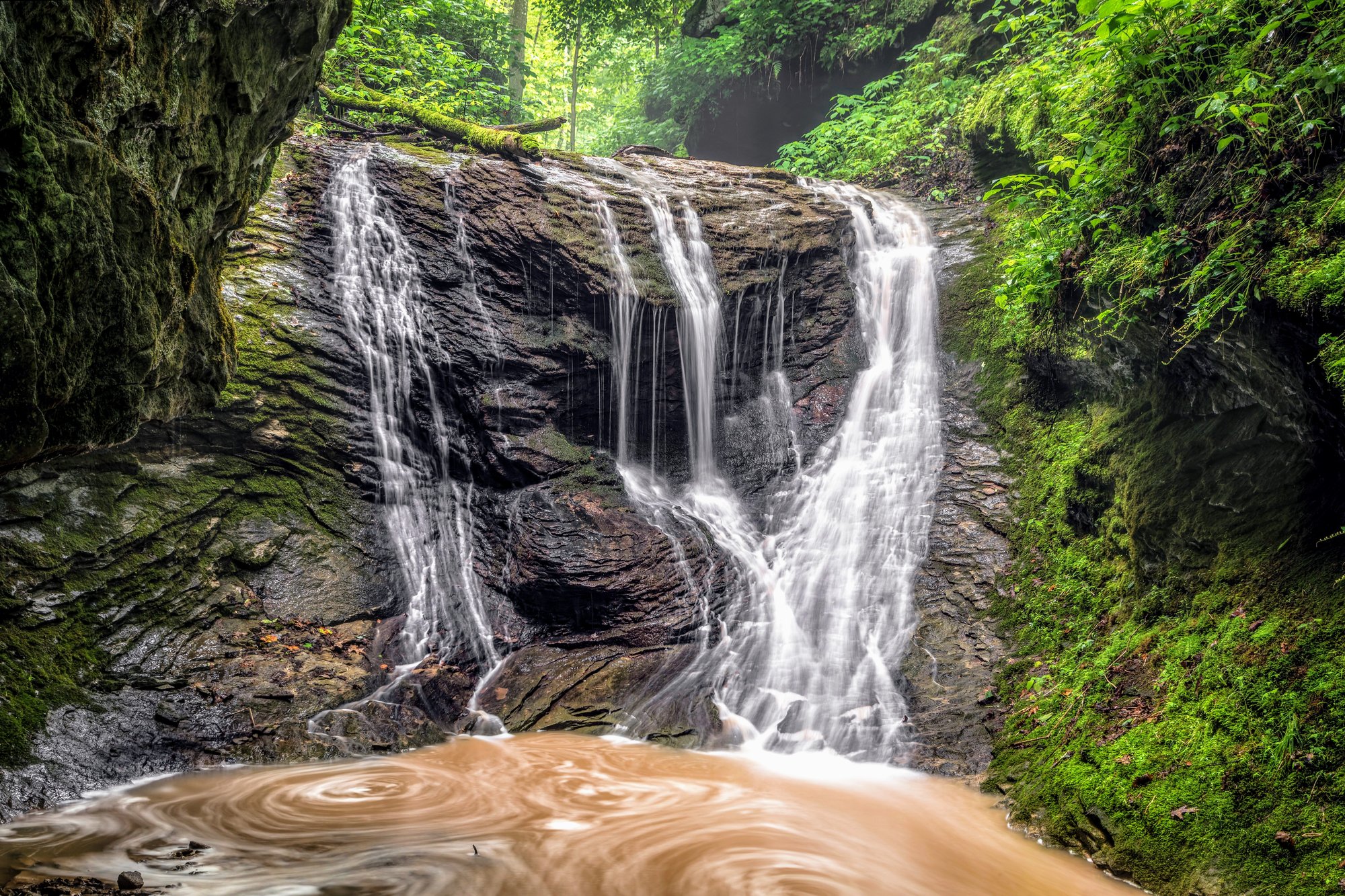 Ephemeral streams have an underestimated impact - Earth.com