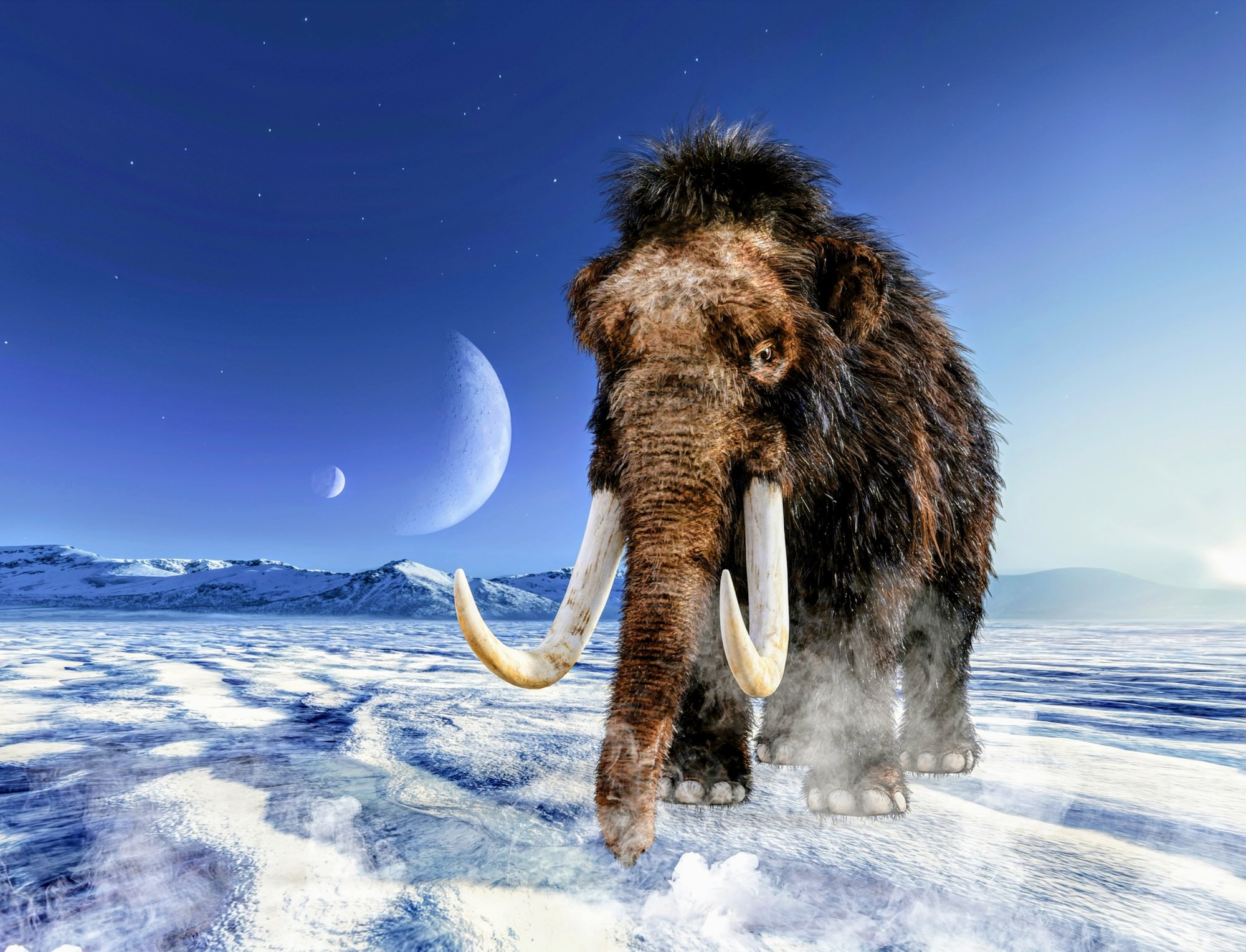 Humans were the leading cause of large animal extinctions - Earth.com