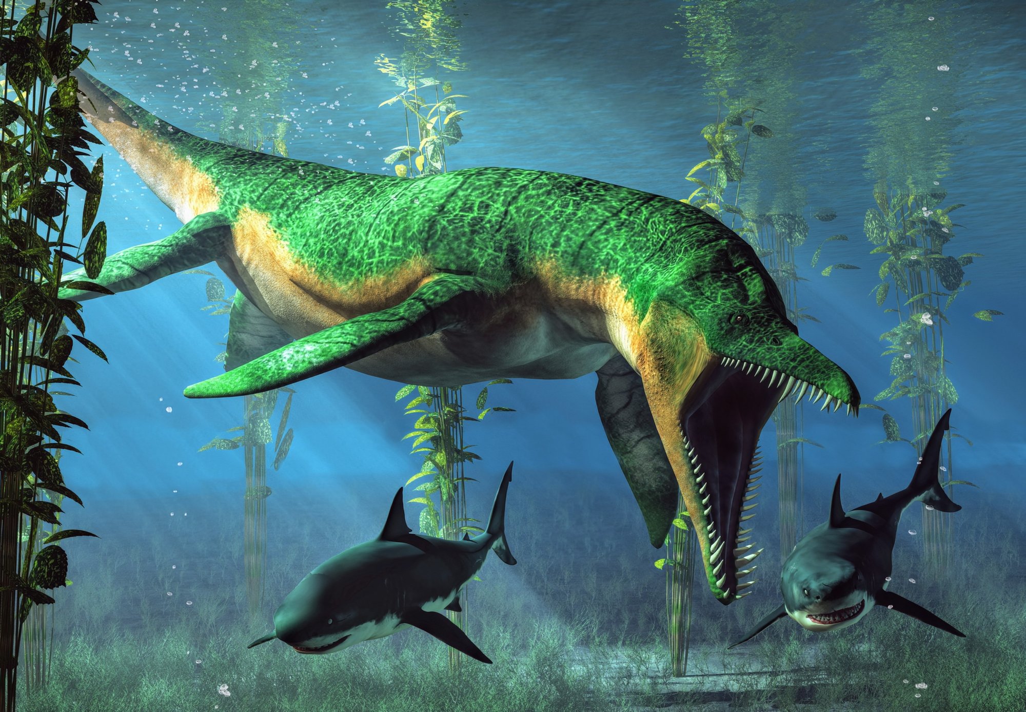 Jurassic extinction may hold clues about ocean oxygen- Earth.com