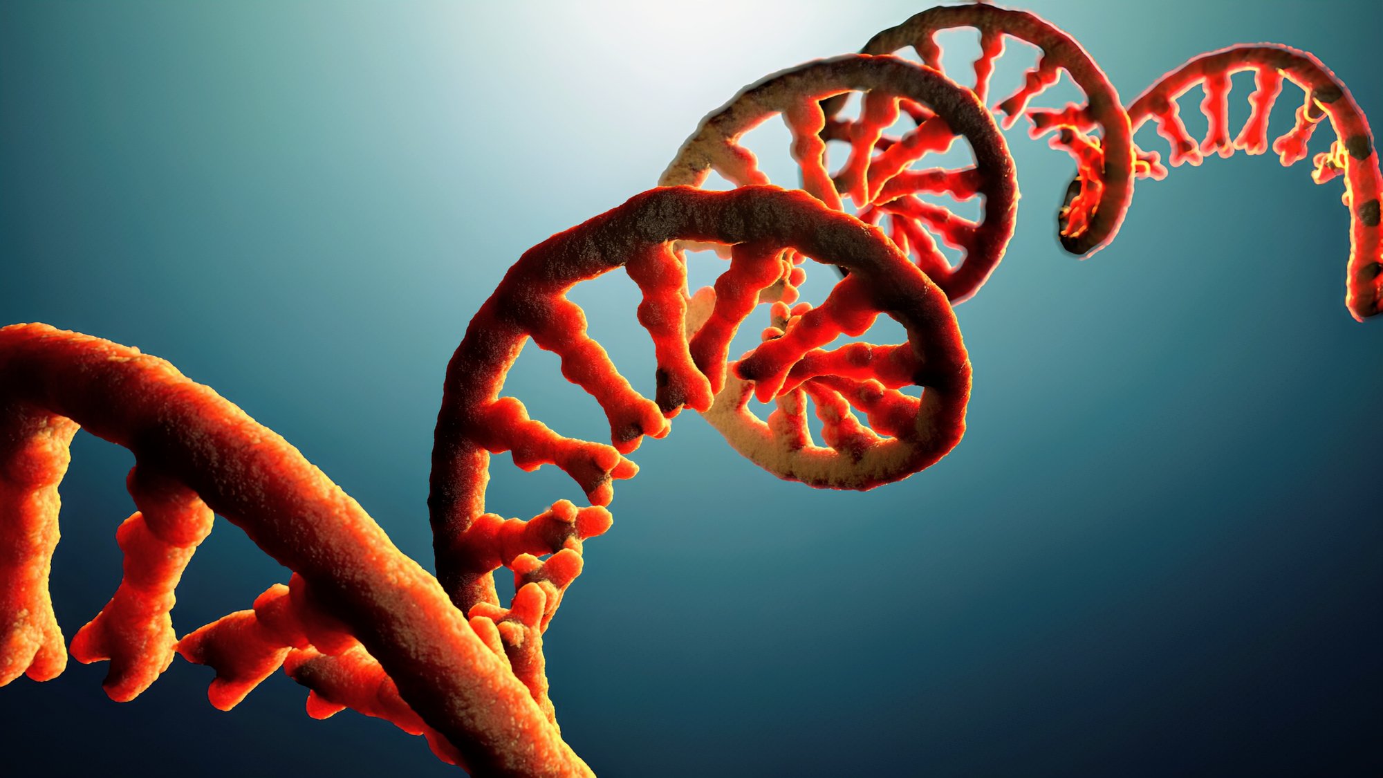 RNA 'junk' is crucial for human health - Earth.com