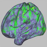 This is your brain, this is your brain on "magic mushrooms" - Earth.com