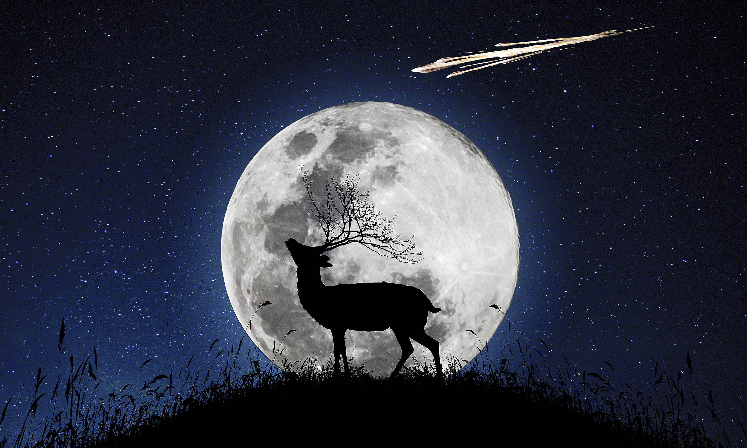 Full "Buck Moon" joins the Perseids for a stellar show tonight - Earth.com