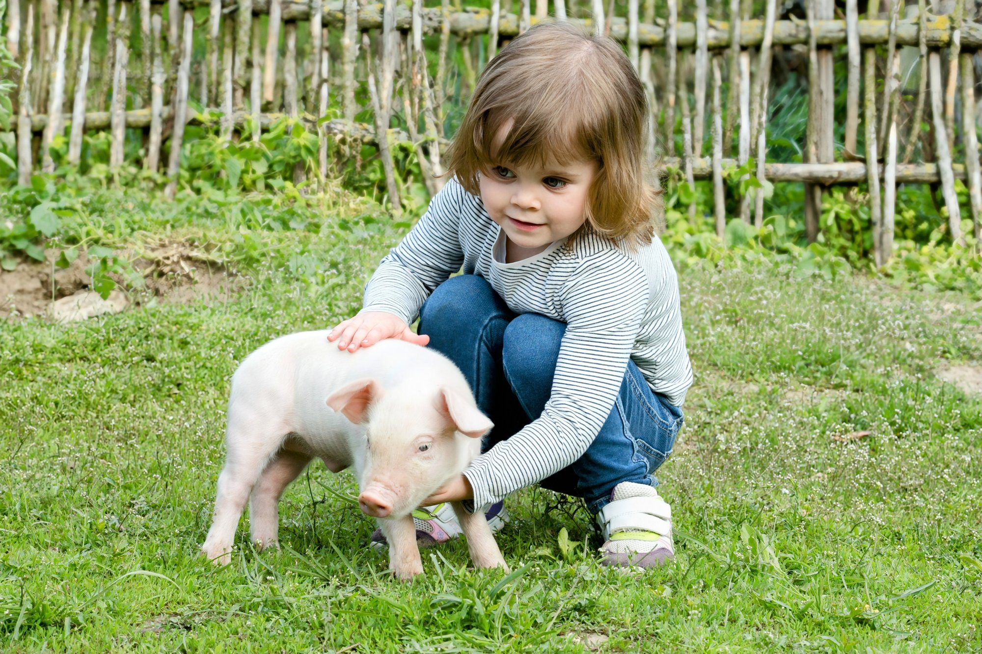Kids who identify farm animals by name are less likely to eat them ...
