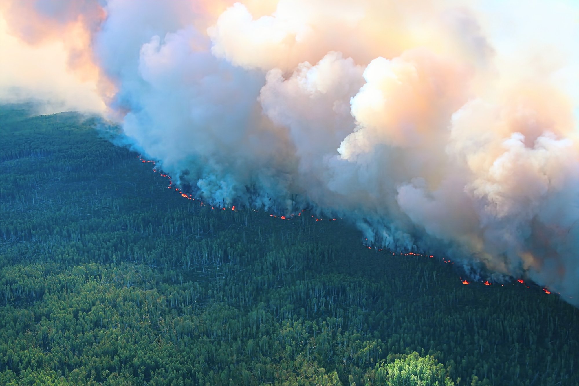 Preparing for disaster: Raising awareness to reduce wildfire risks ...