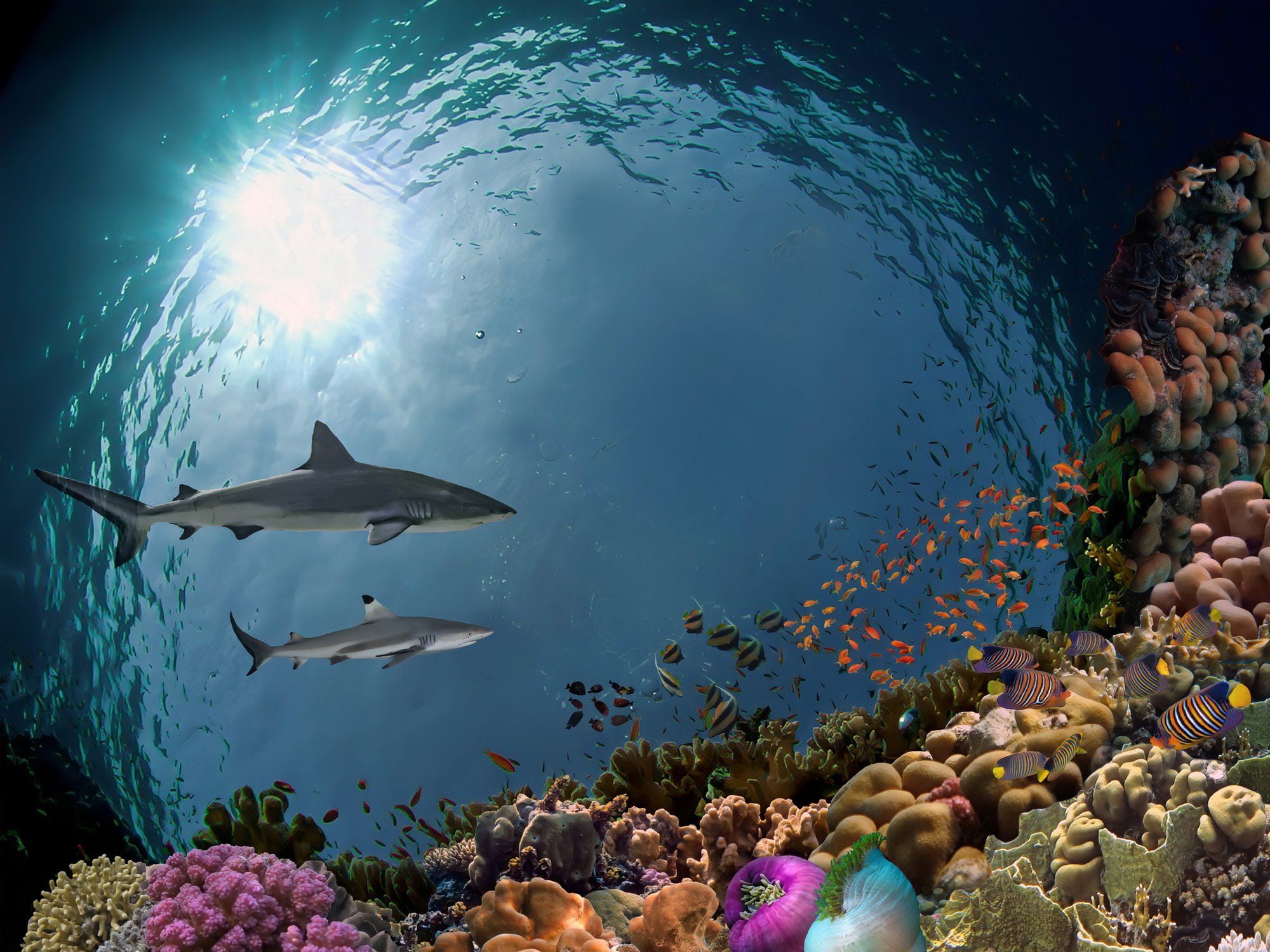 Weather in the deep sea is not as predictable as we thought - Earth.com